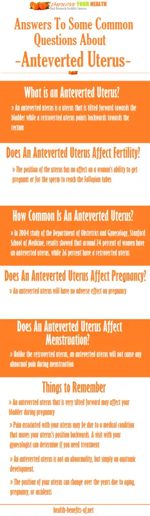 Anteverted Uterus: Everything You Need to Know - The Healthy Apron