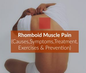 Rhomboid Muscle Pain (Causes,Symptoms,Treatment-Relief,Exercises ...