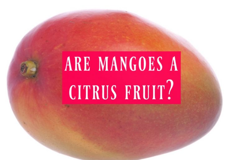 Is Mango a Citrus Fruit: The Expert Says No - The Healthy Apron